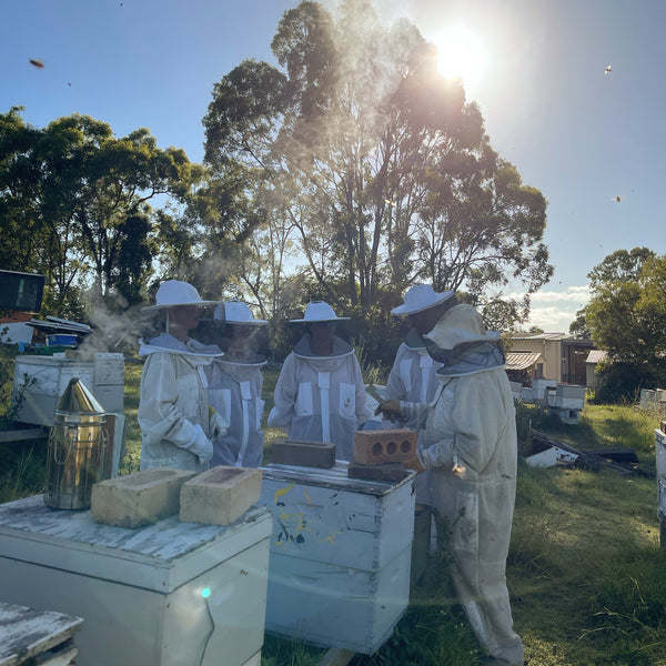 Discover the Sweet Secrets of Beekeeping: Two Busy Bees Honey Bee Farm