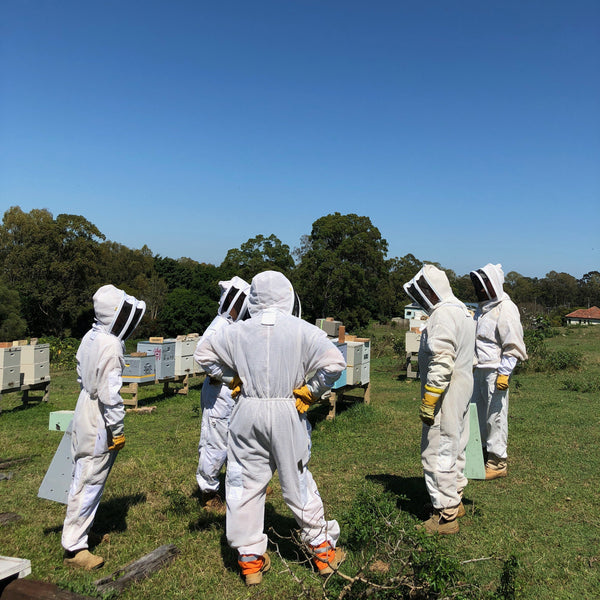 Two Busy Bees Honey Bee School on ABC Radio