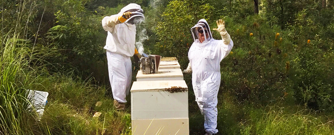 Two Busy Bees Honey | Est 2016 - Honey, Bees, Flow Hives, Farm Tours