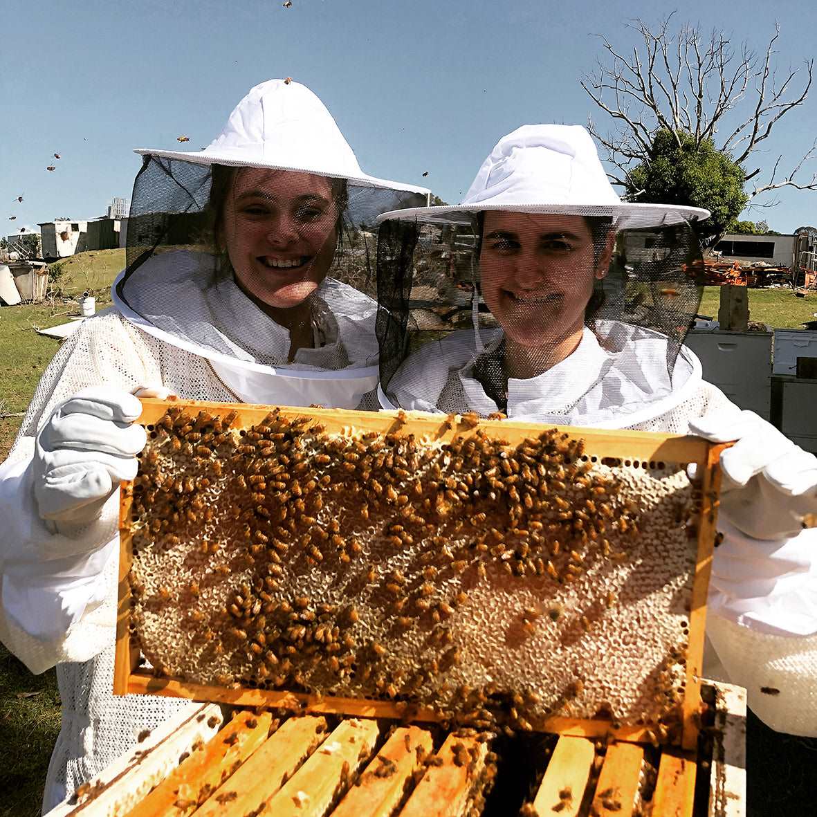 Shop | Two Busy Bees Honey