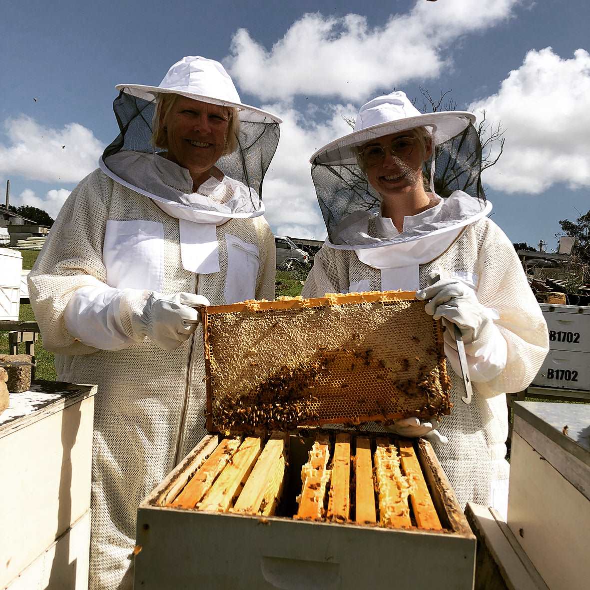 Shop | Two Busy Bees Honey