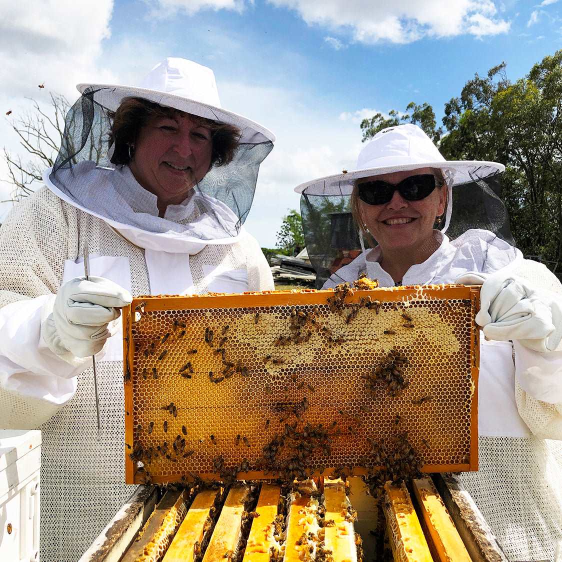 Shop | Two Busy Bees Honey